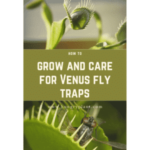 Enormous Library of Carnivorous plants | Hungry Plant